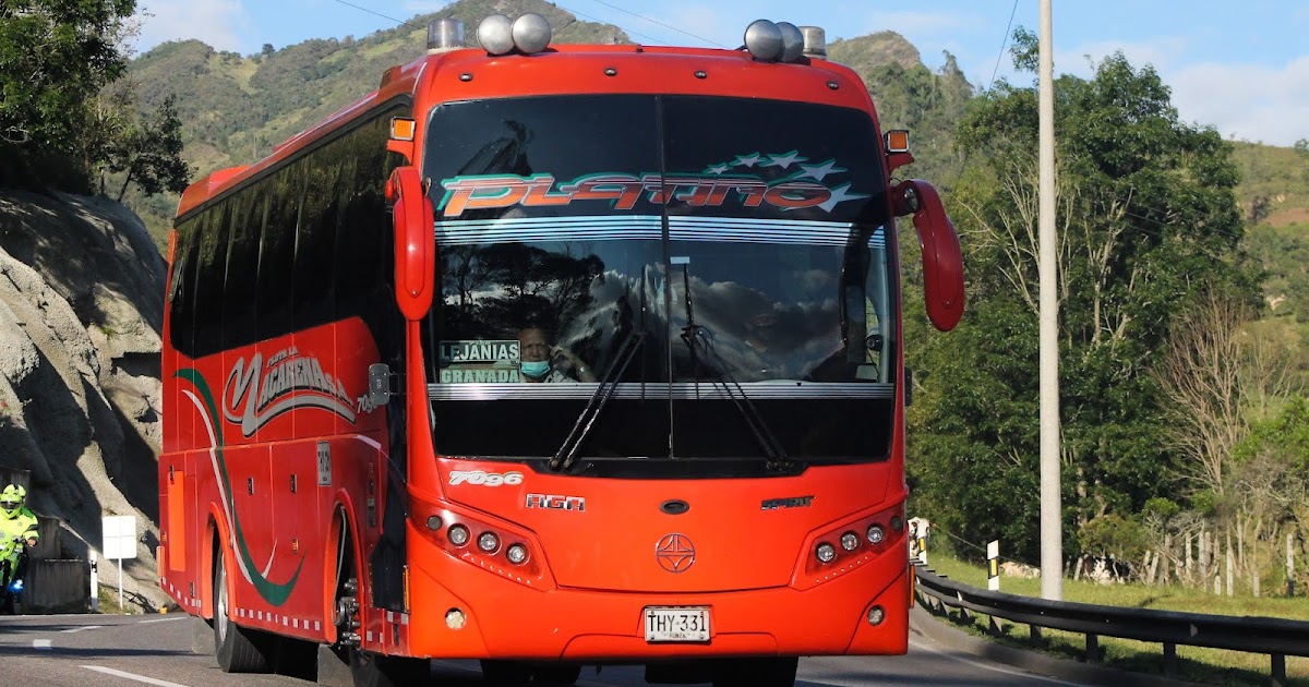 Buses de Colombia - Oficial