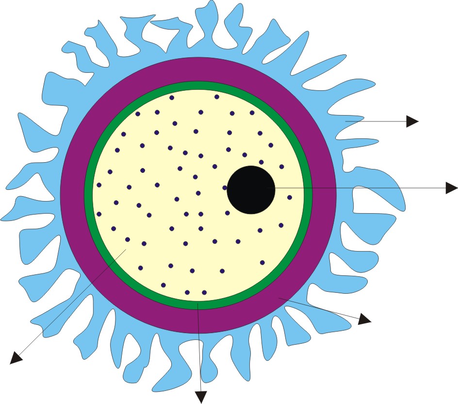 Biología: marzo 2012