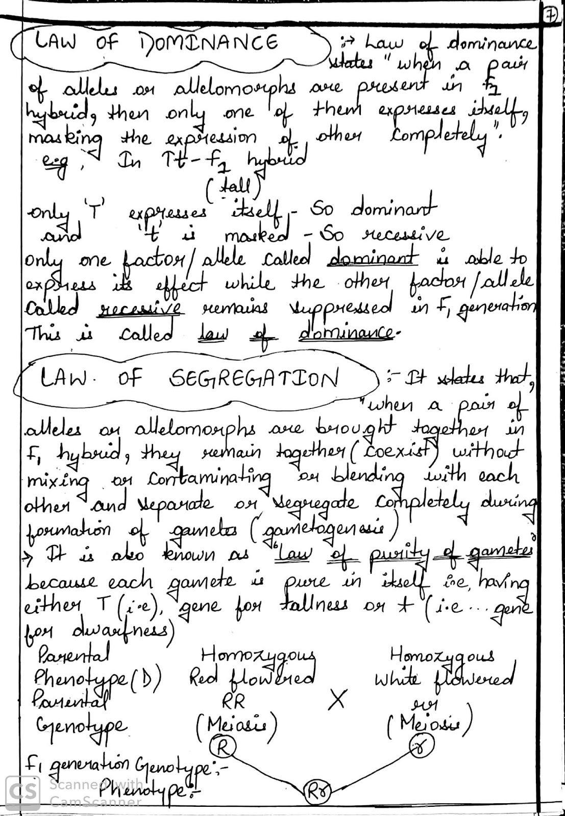 Principle Of Inheritance And Variation Handwritten Notes For 12th Biology