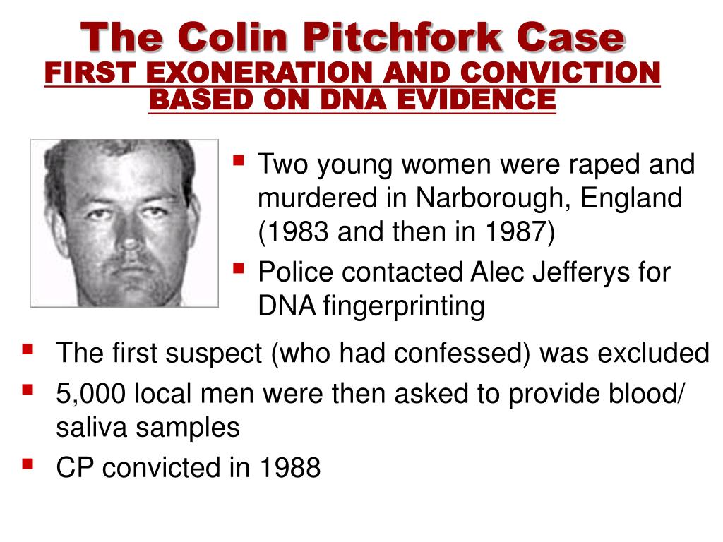 EXAMS AND ME : The Pitchfork Case