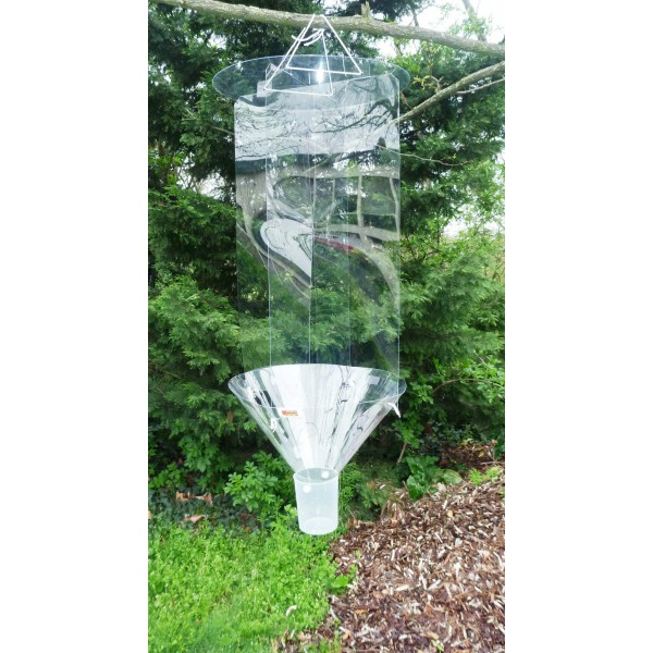 Captura, montaje y conservación de insectos