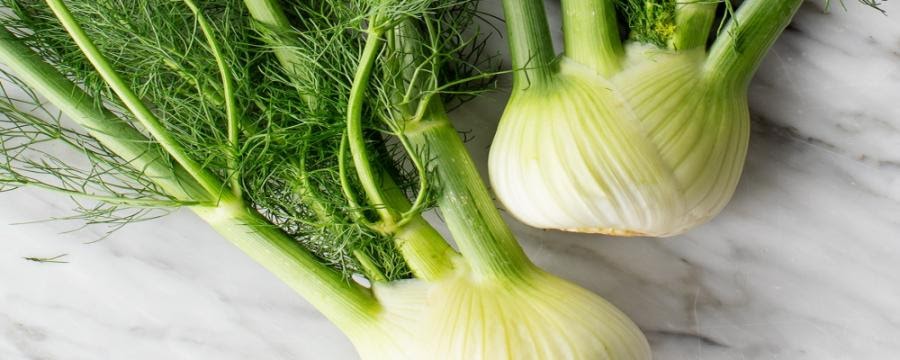 What is fennel?