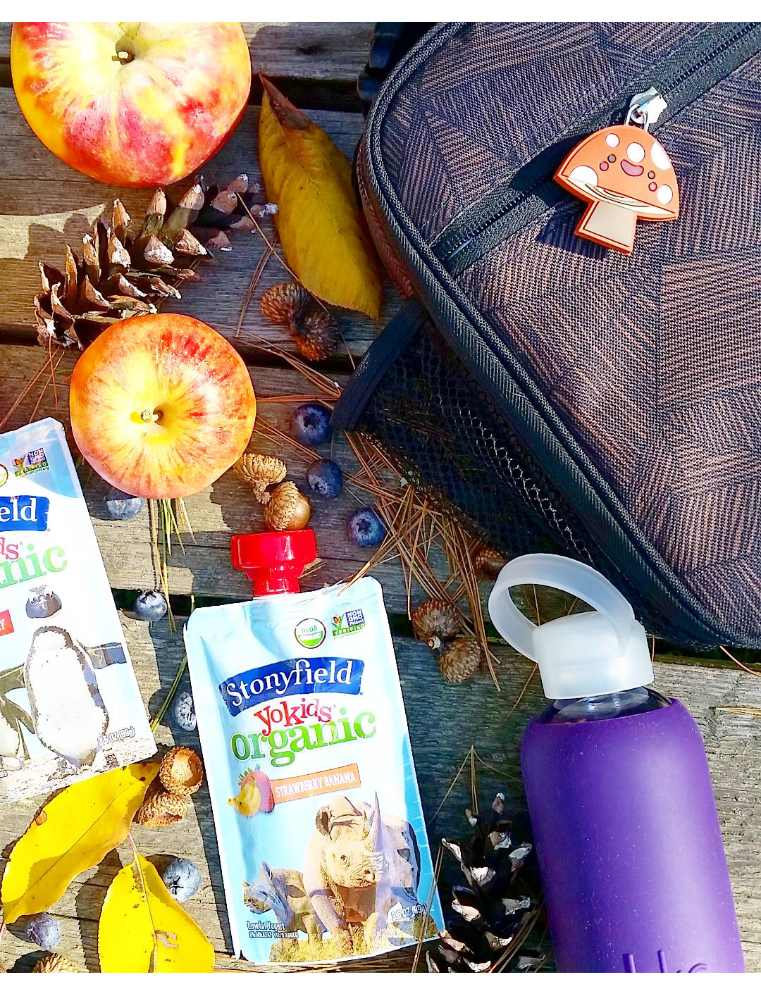Treasure Hunts & Stonyfield® Organic YoKids® Yogurt!