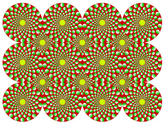 Optische illusies en gezichtsbedrog: Prachtige illusies en gezichtsbedrog