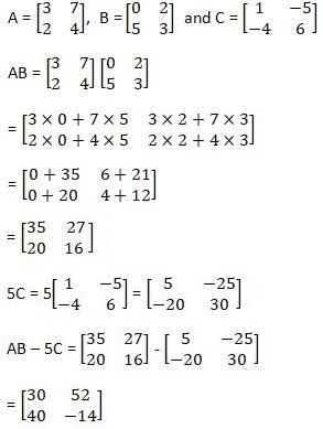 Chapter 8 Matrices ML Aggarwal ICSE Solutions for Class 10 Maths