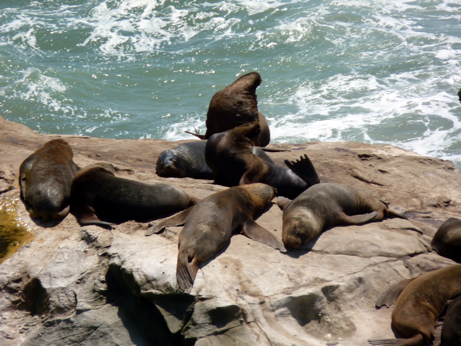 Raf's High-Res Travel Photos: Punta Balcones, Peru