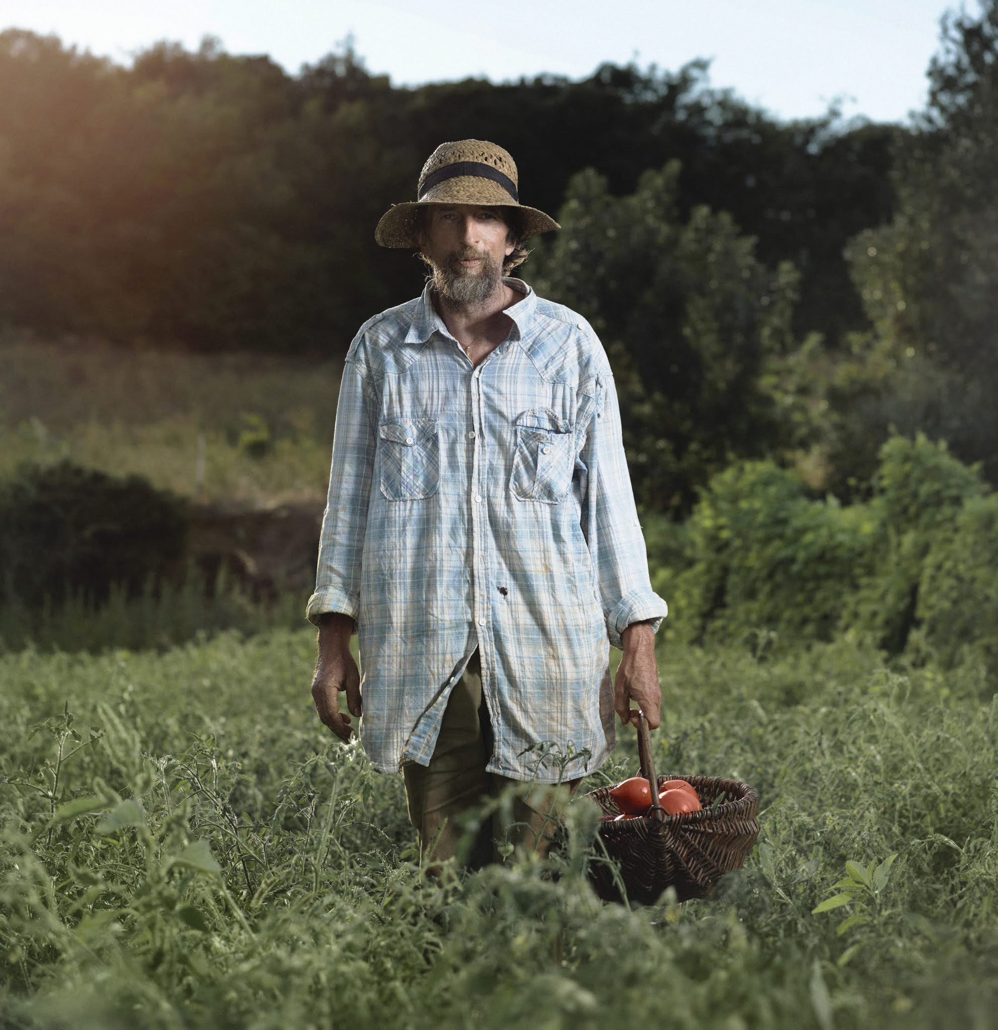 CULTIVER SES LÉGUMES SANS EAU : À LA DÉCOUVERTE DE LA MÉTHODE PASCAL ...