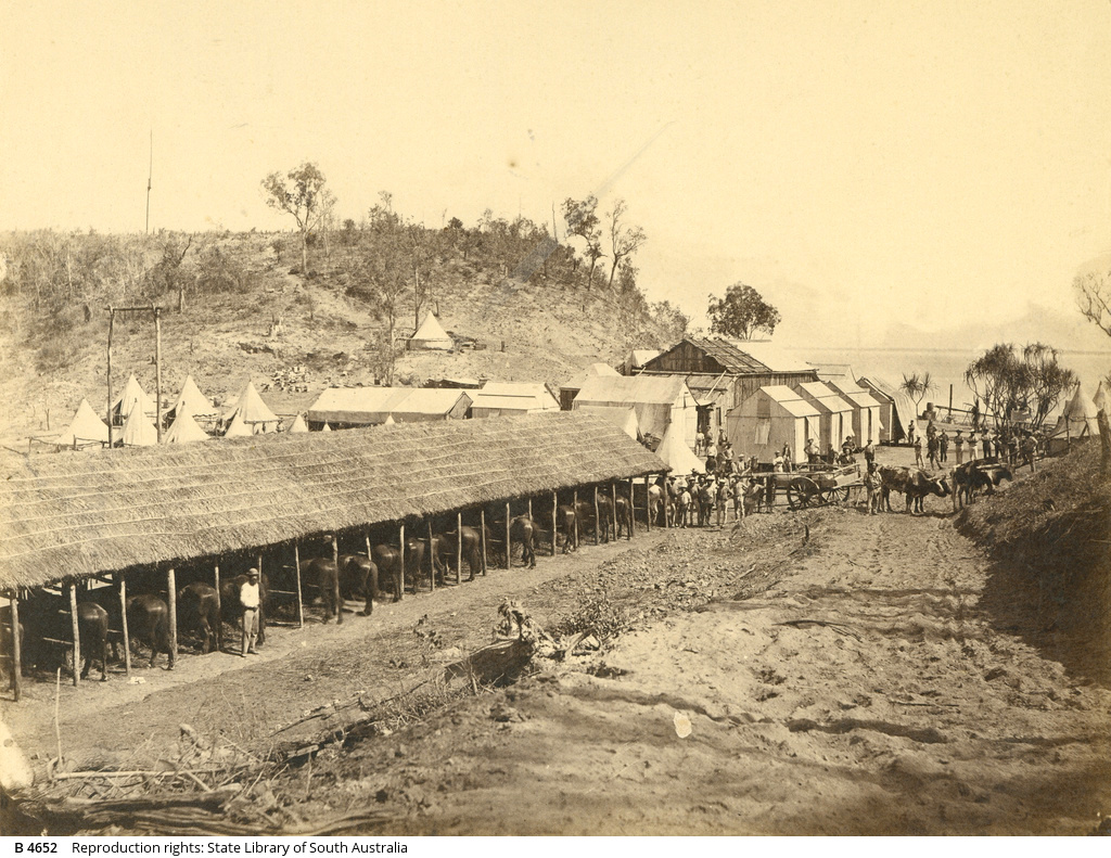 Historical Australian Towns: Darwin, NT: Australia's Most Northerly ...