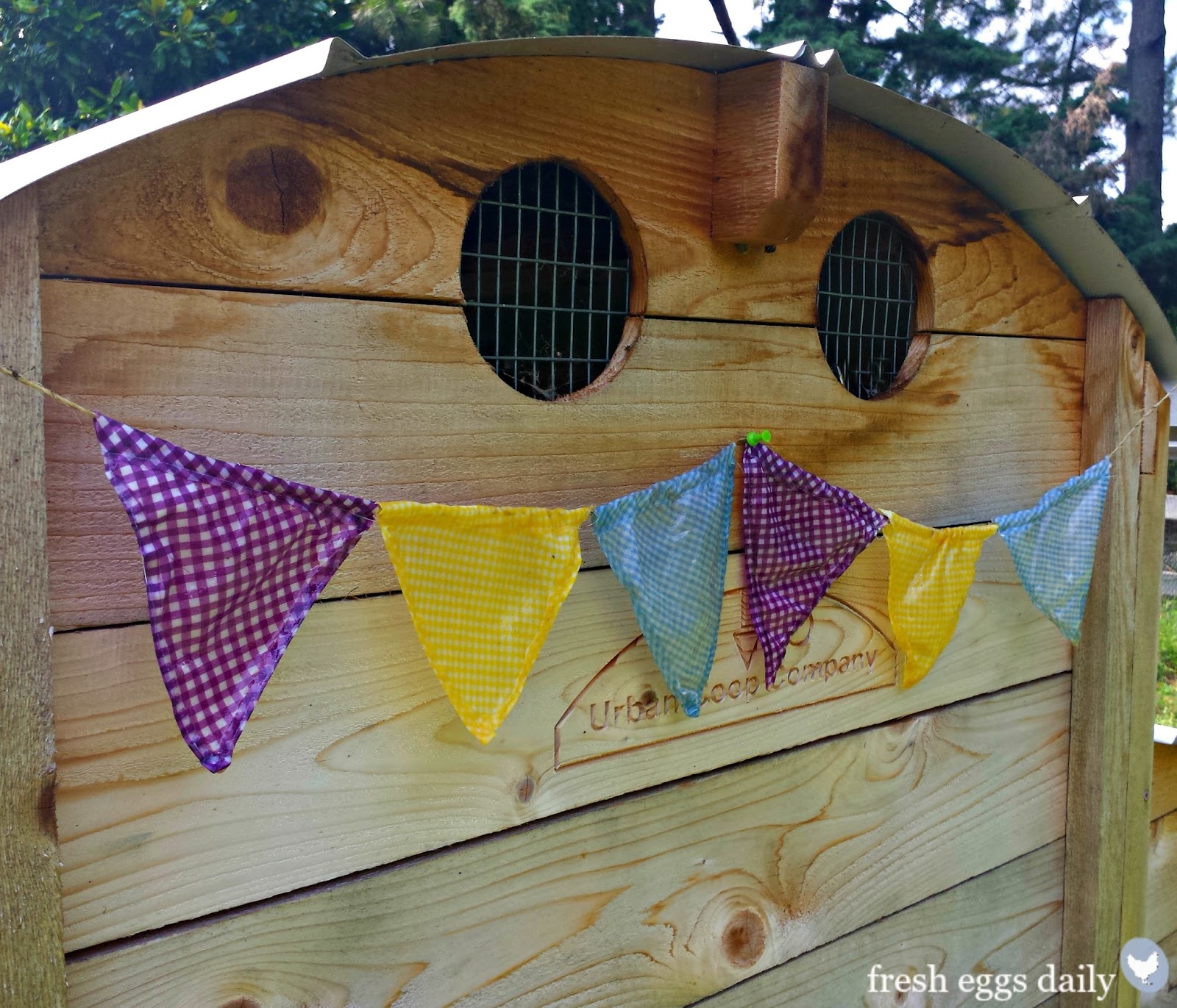 Natural Fly Bunting for the Chicken Coop, Barn or Picnic Area - Fresh ...
