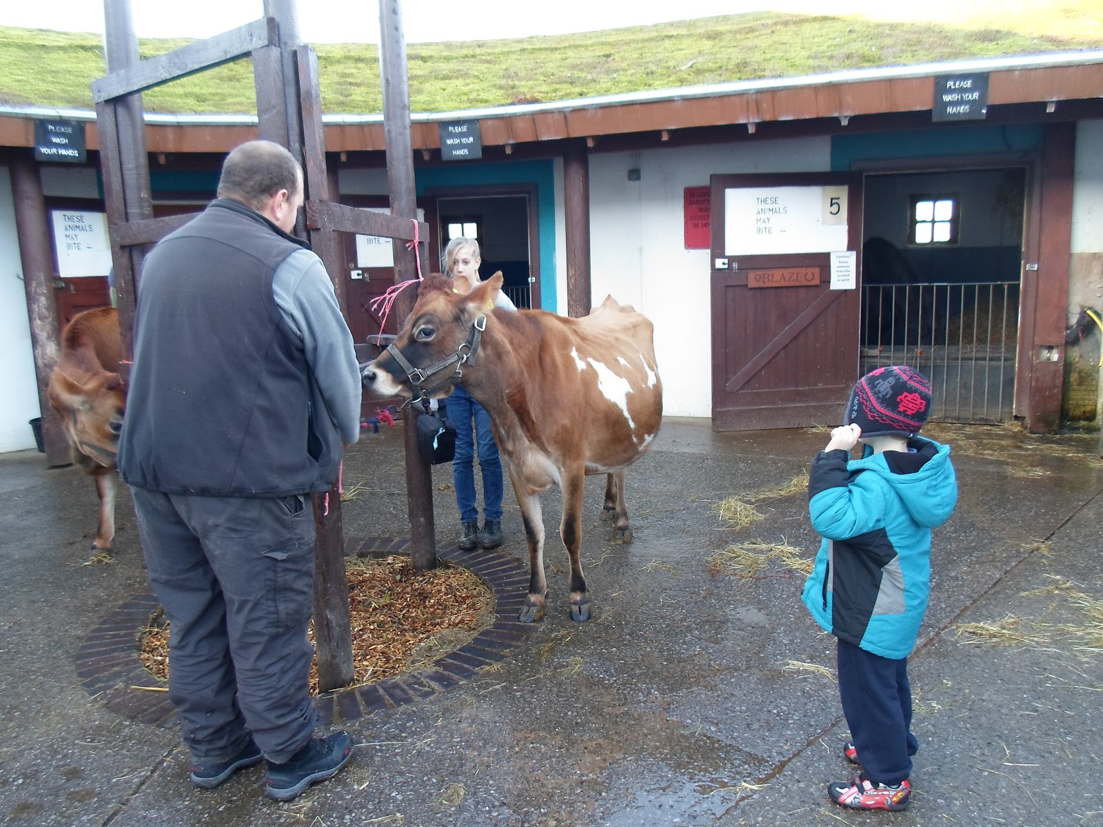 A Walk to Remember: Heeley City Farm n Weston Park Museum