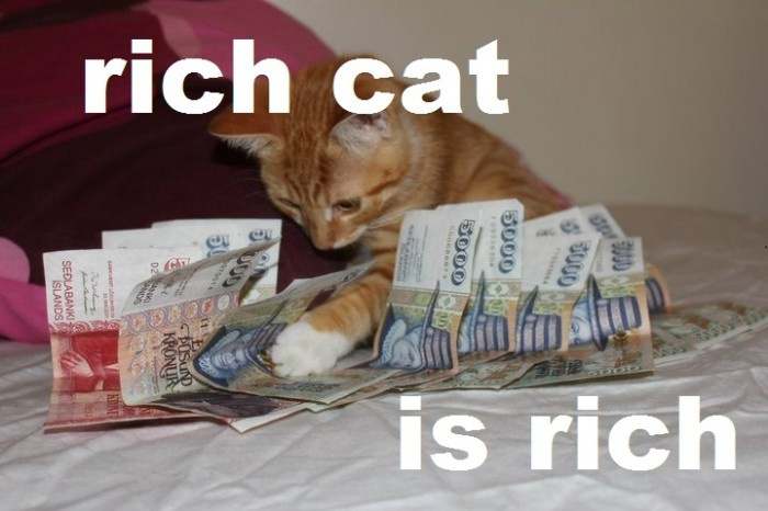 Rich Cat Is Rich | Funpicc
