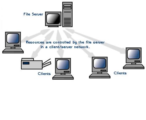 computertech::::::::::::::::::: What is a Network Operating System?
