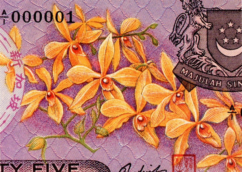 Postcard Interchange 明信片交流站: Singapore 1ST SERIES - THE ORCHID SERIES ...