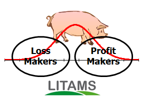 Precision Livestock Farming: PLF and its impact on the red-meat value chain