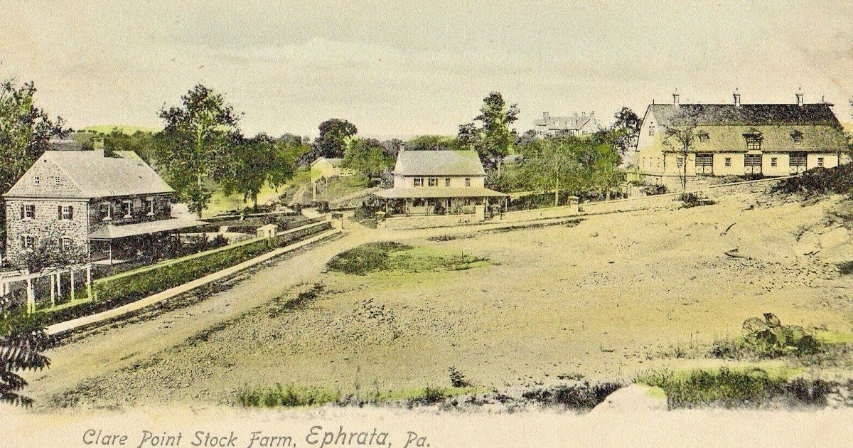 Extraordinary Stories From An Ordinary Guy: The "Clare Point Stock Farm ...