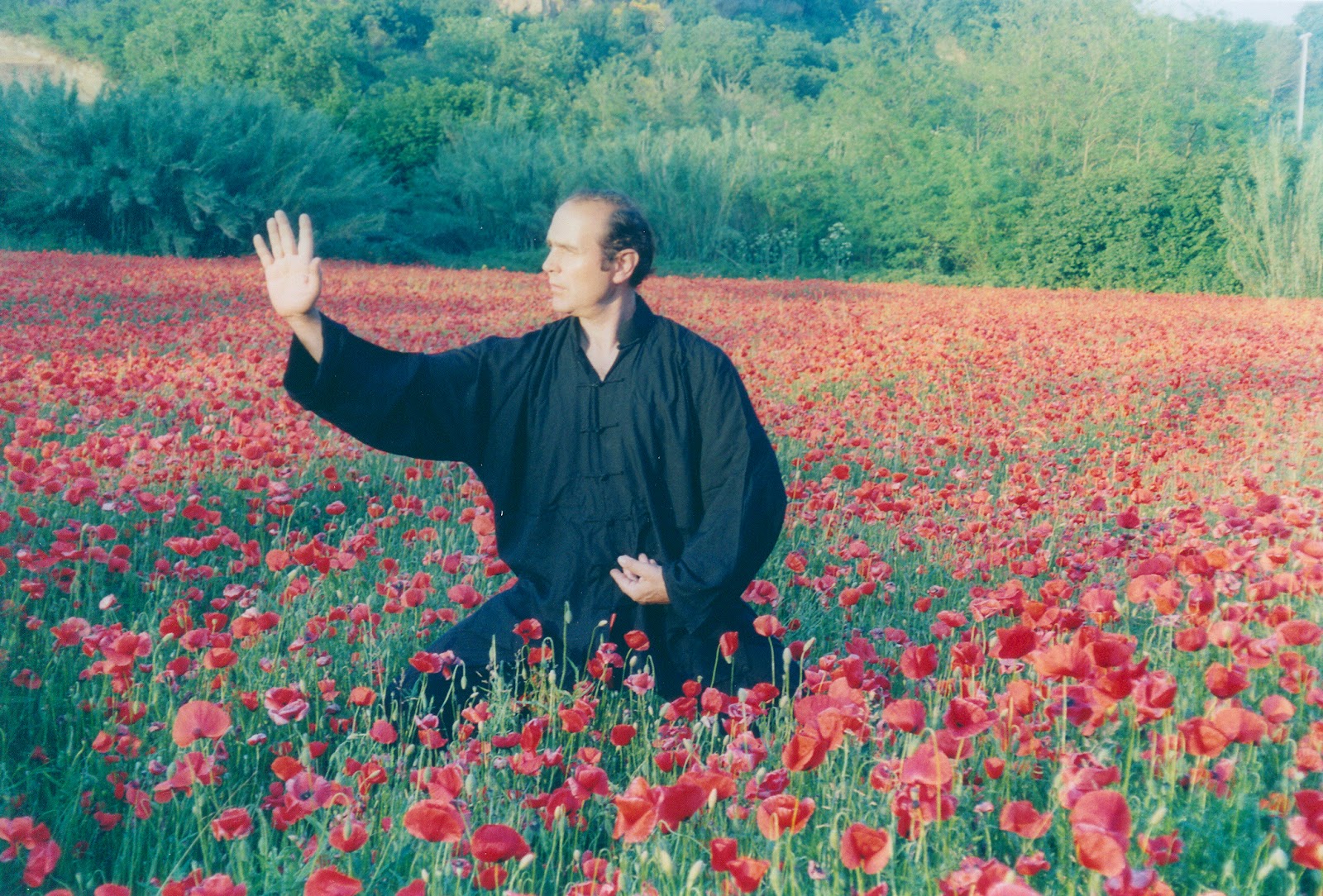 CORSI DI TAIJI QUAN E QI GONG A ROMA: CORSI ESTIVI DI TAIJI QUAN E QI ...