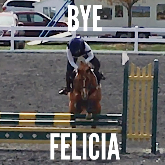 'Fraidy Cat Eventing: friday fails: healing with humor