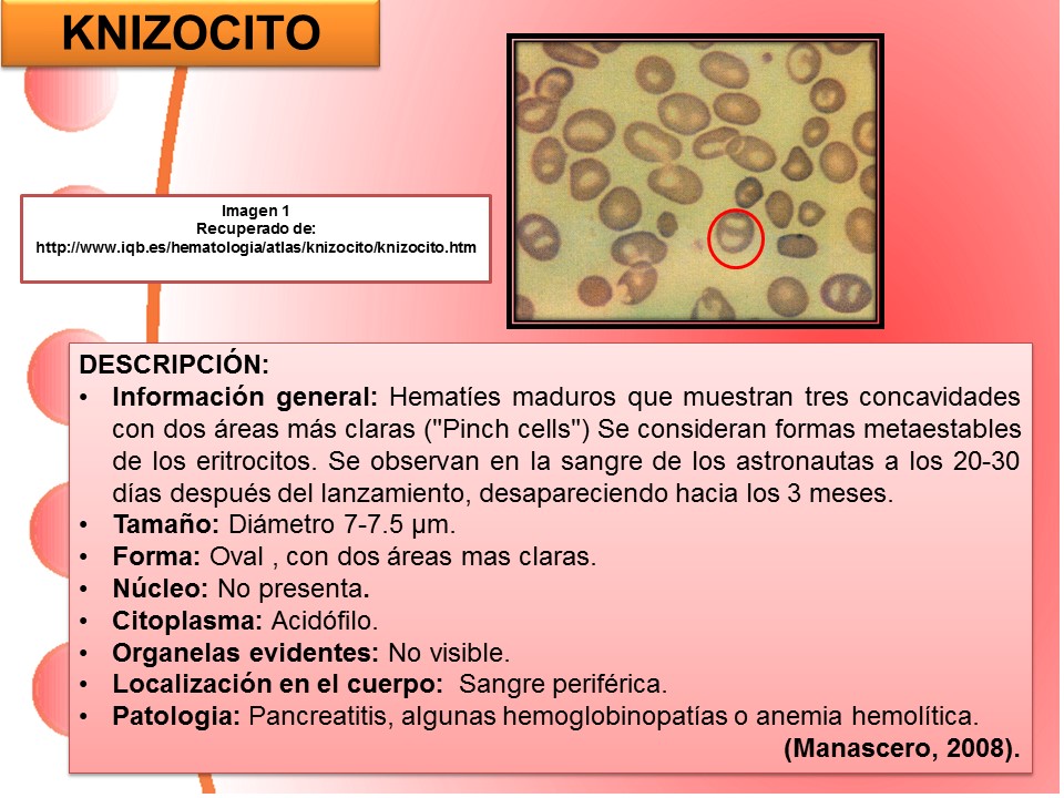 HEMATOLOGIA 2016 (FICHERO): KNIZOCITO