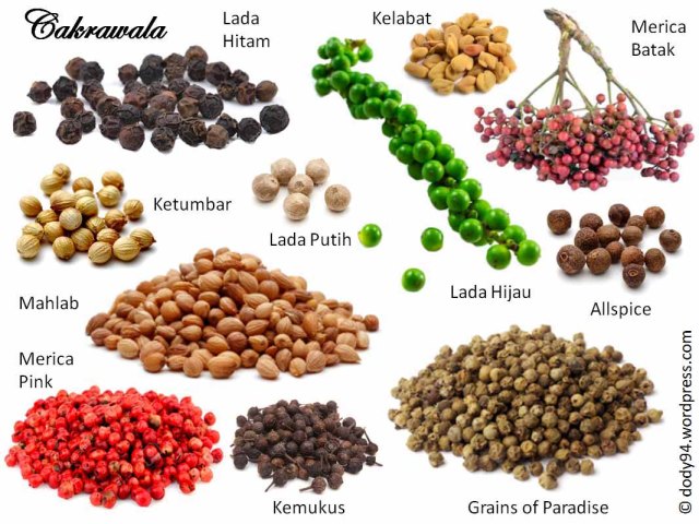 PRAKARYA KELAS 9 "PENGOLAHAN HASIL PETERNAKAN DAN PERIKANAN MENJADI ...