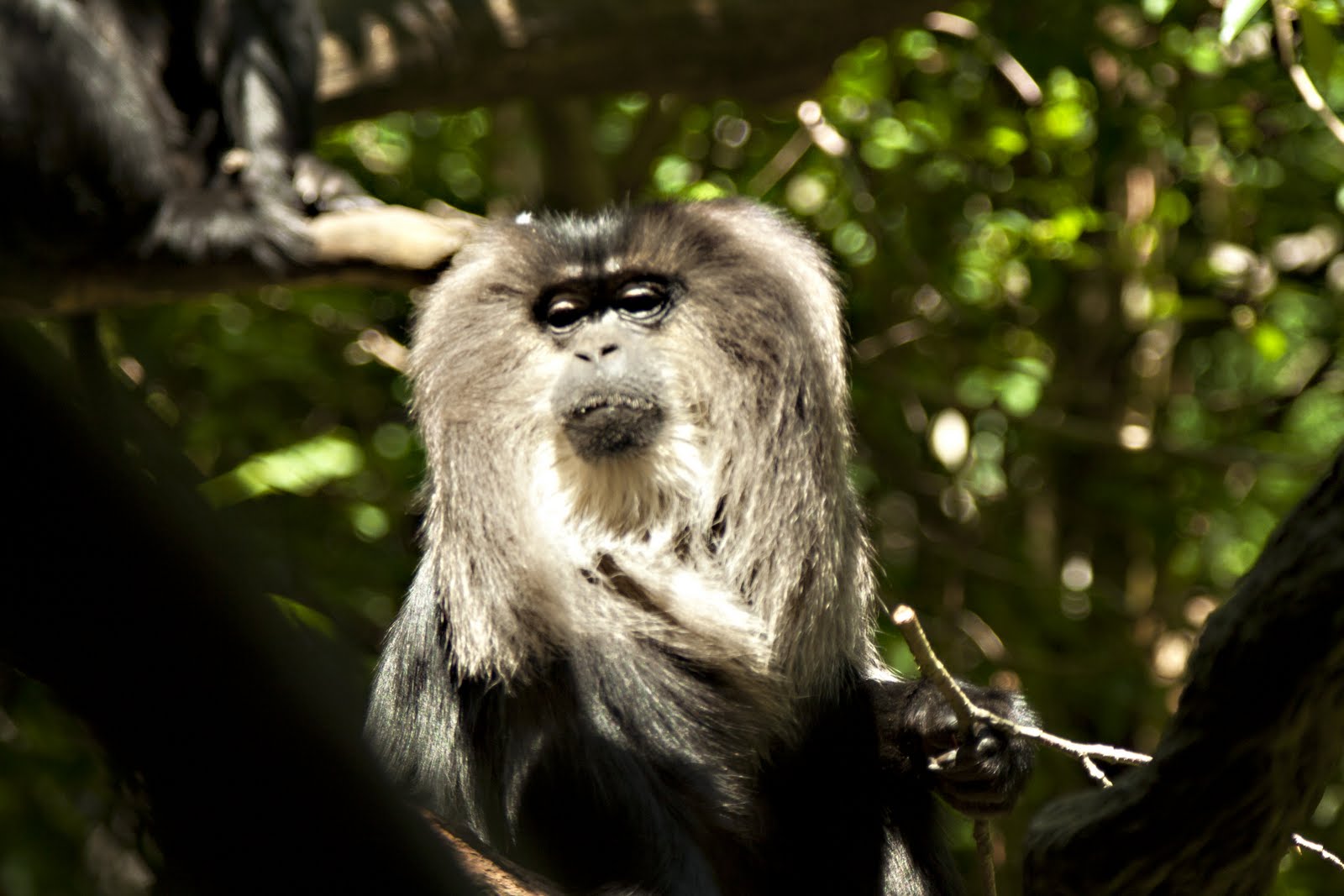 Stephen and Kimberly's Blog