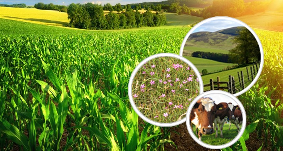 With Farm key, ensure the exponential growth in your crops