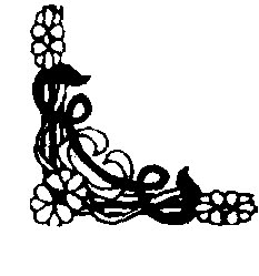 Bahan Undangan Tahlil (Border dan Gambar Vector) - Arizal Firmansyah