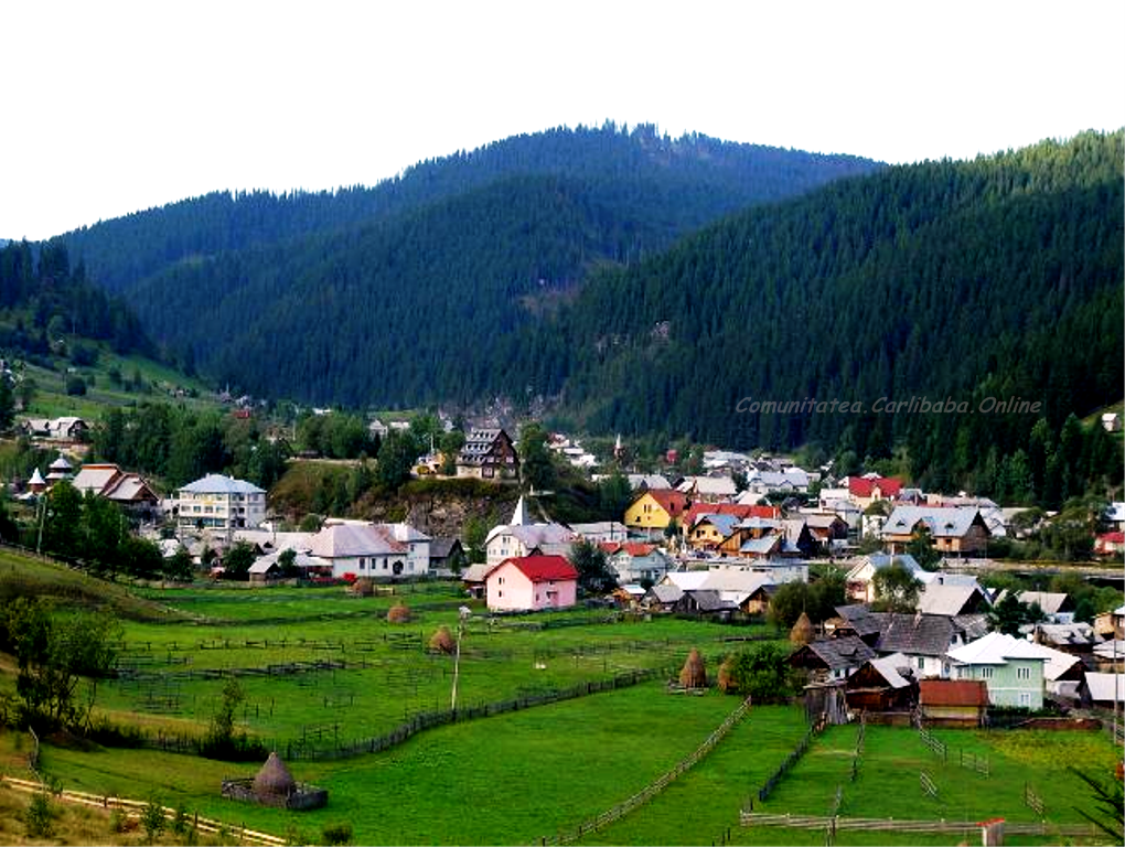 Info.Carlibaba.Bucovina.Online: Comuna Carlibaba in straie de sarbatoare