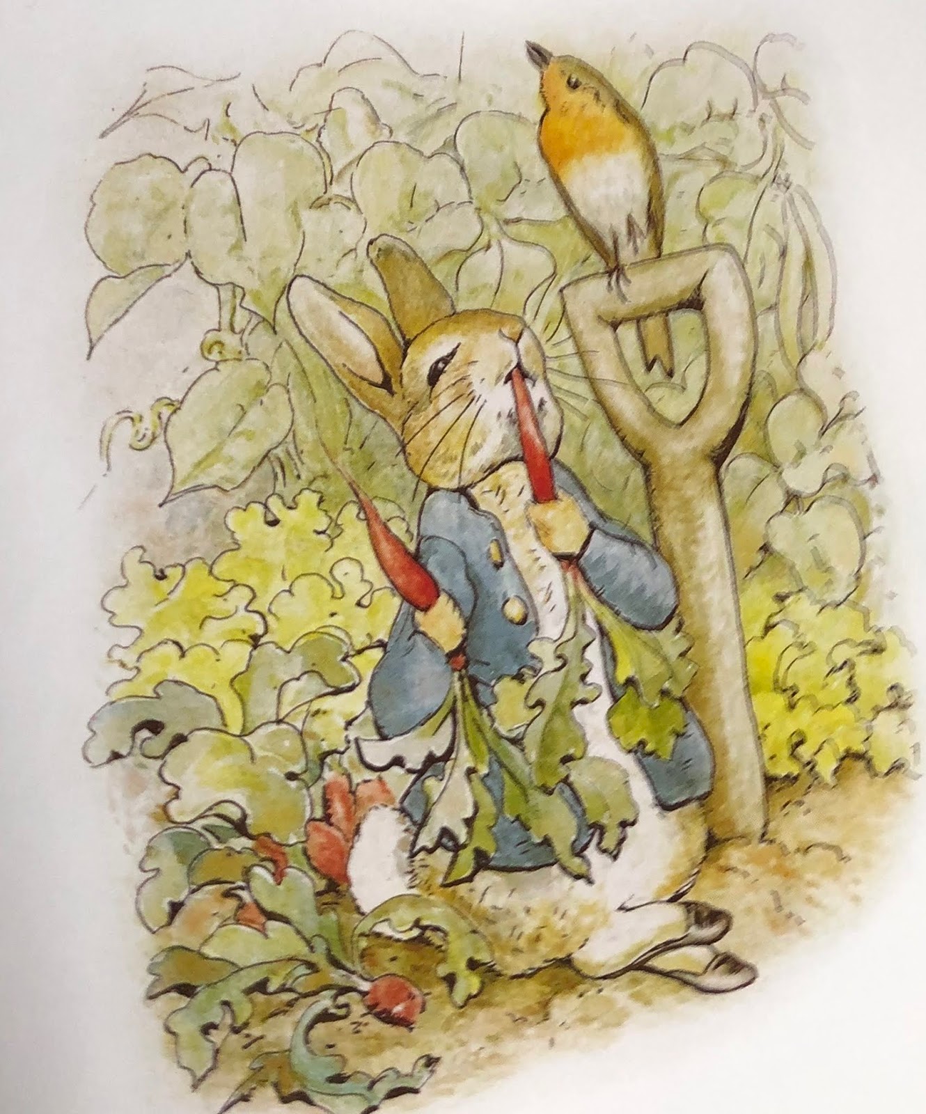 Five Reasons To Read Beatrix Potter’s Peter Rabbit Series During This ...