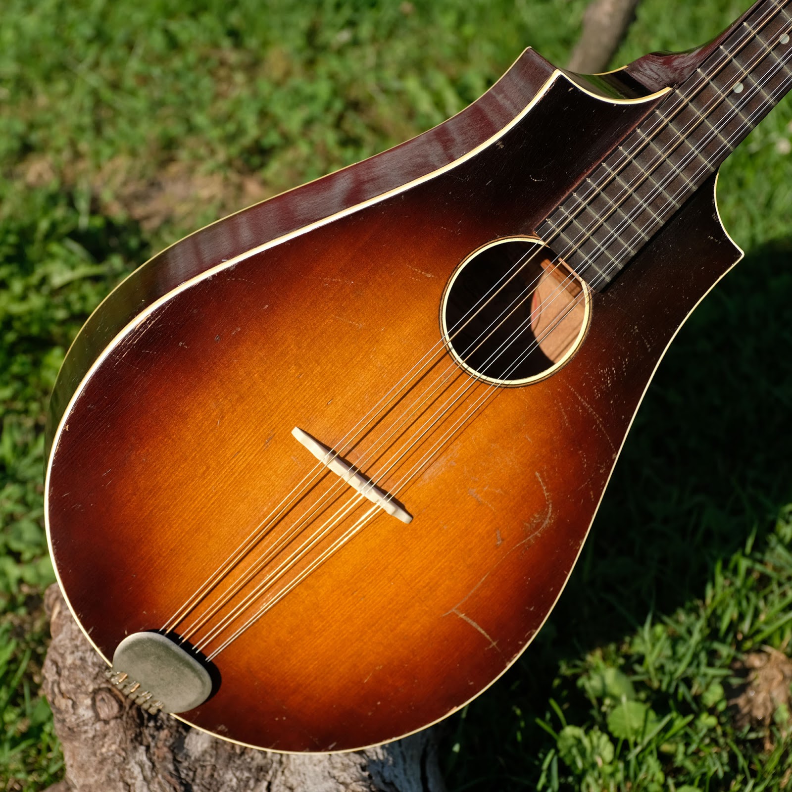 1930s Regal Octofone Octave Mandolin/8 String Tenor Guitar