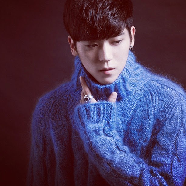 Taiwanese Pop Star Forever: Bii 畢書盡