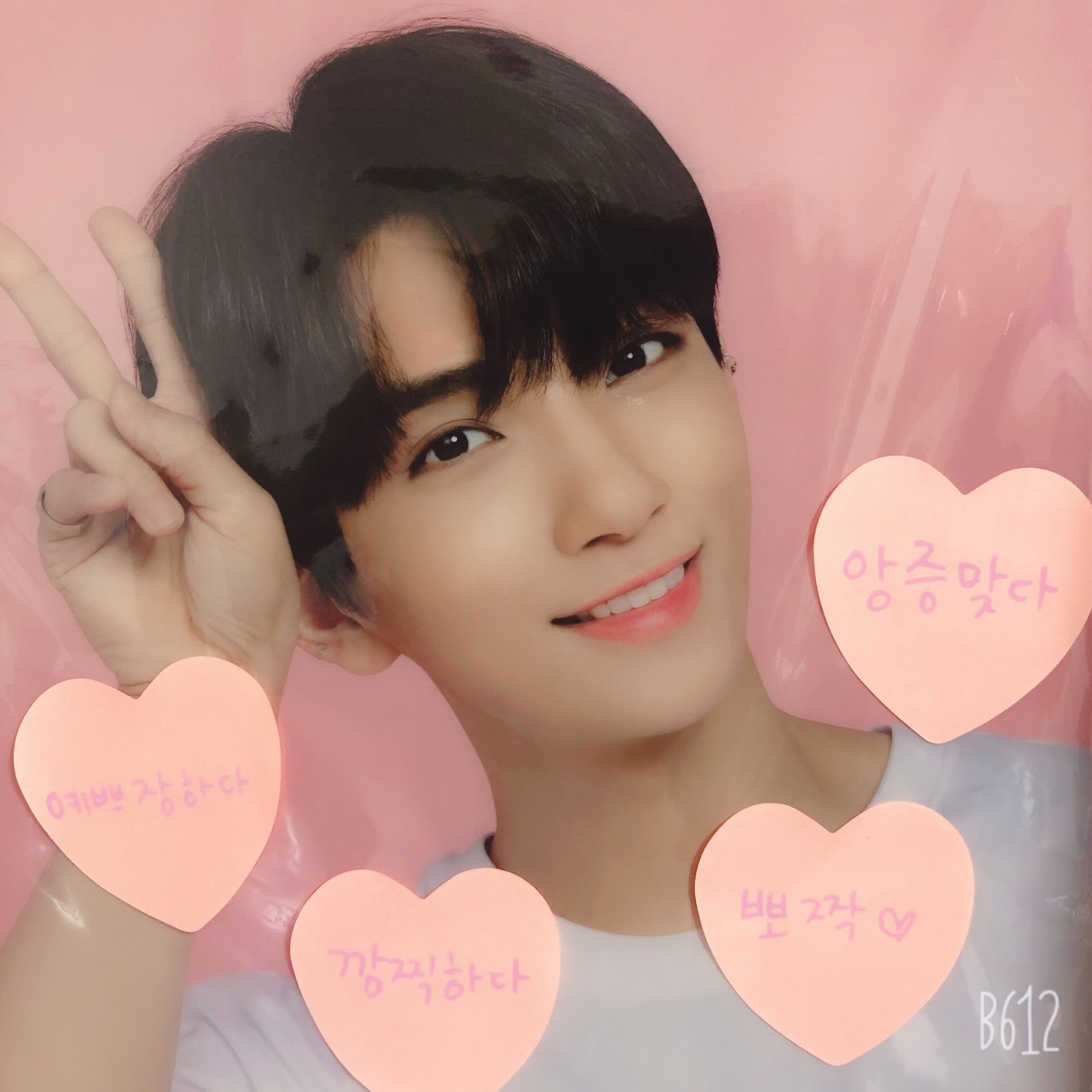 JSJH韓国語学習用: 6月 2019