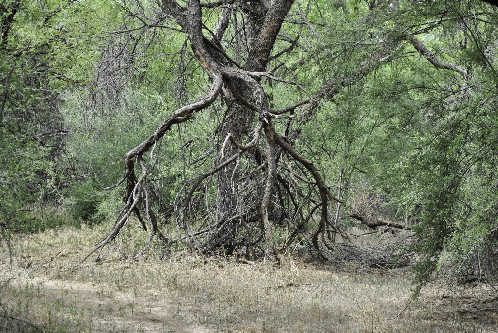 Lift Your Heart With Smiles