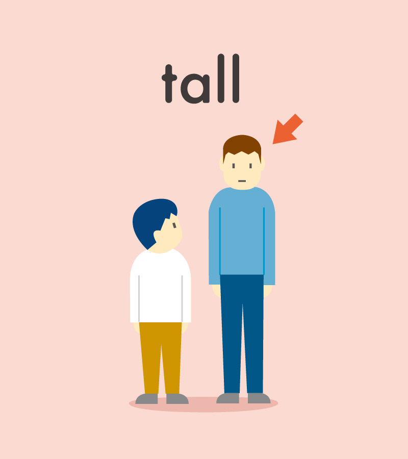 high と tall の違いとは？