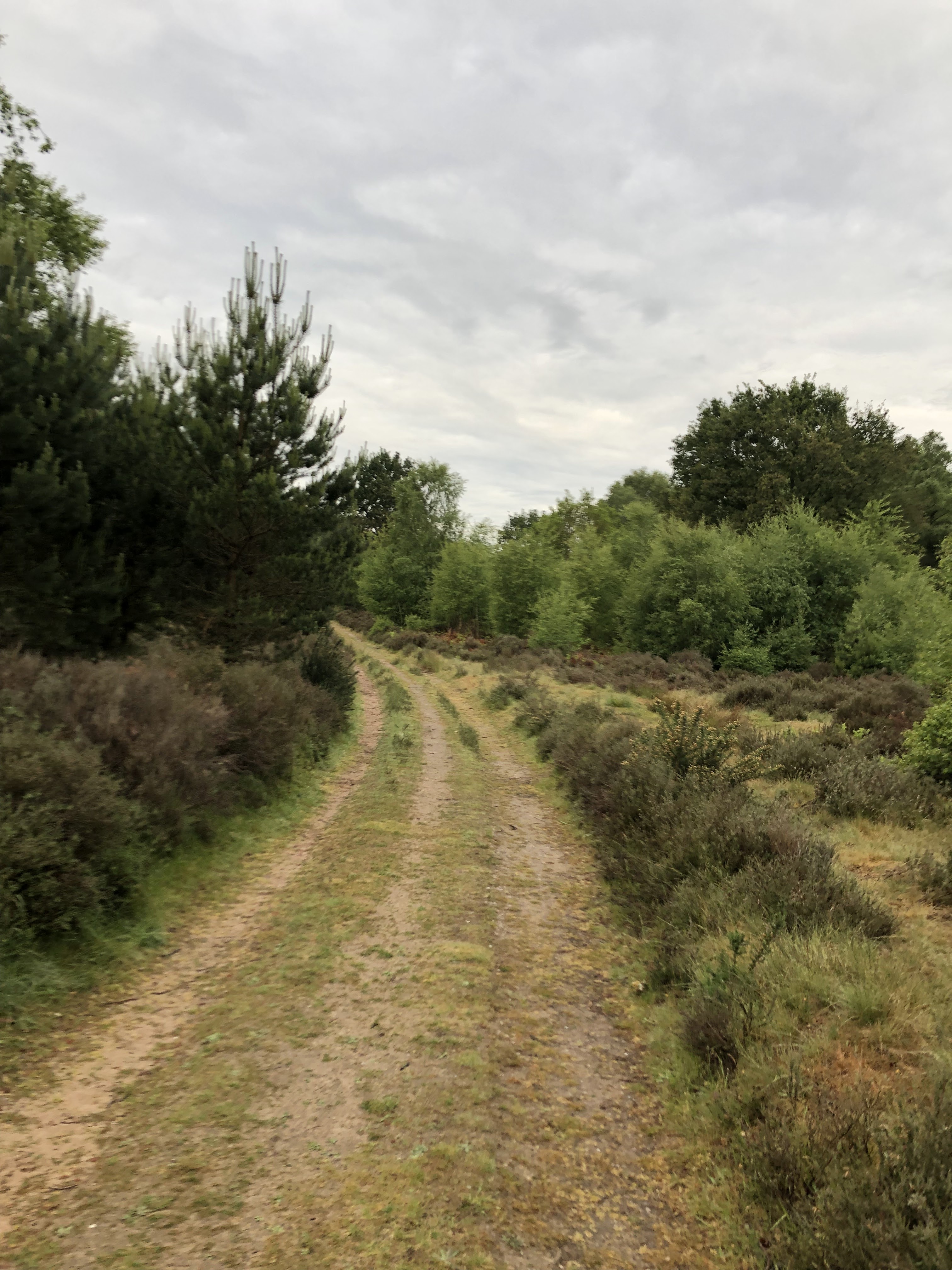 A Big Day in Nottinghamshire & Yorkshire!