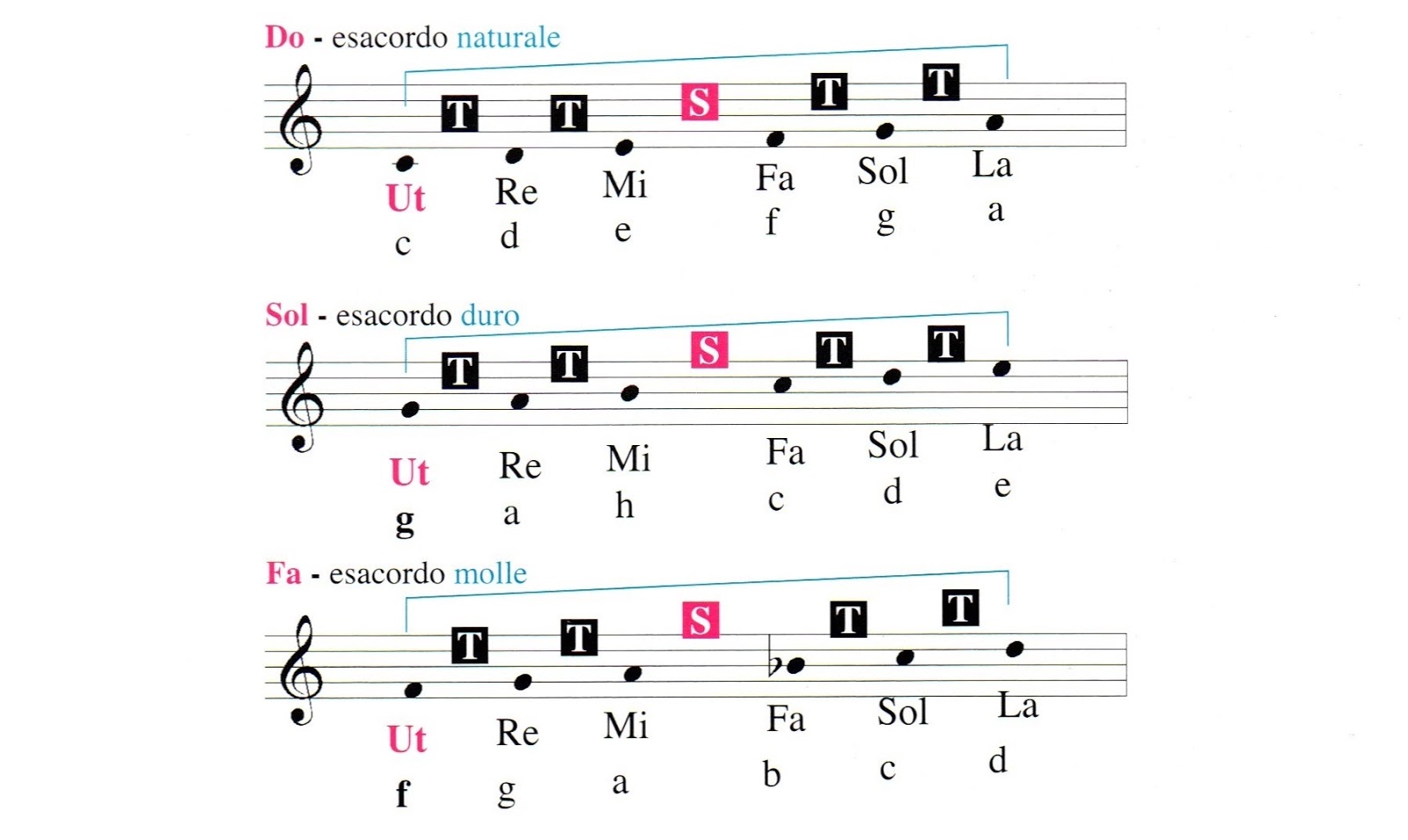 Euterpes Domus: I nomi delle note