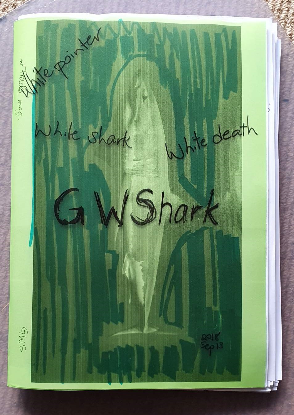 Kids' Book Review: Guest Post: Claire Saxby on Writing Great White Shark