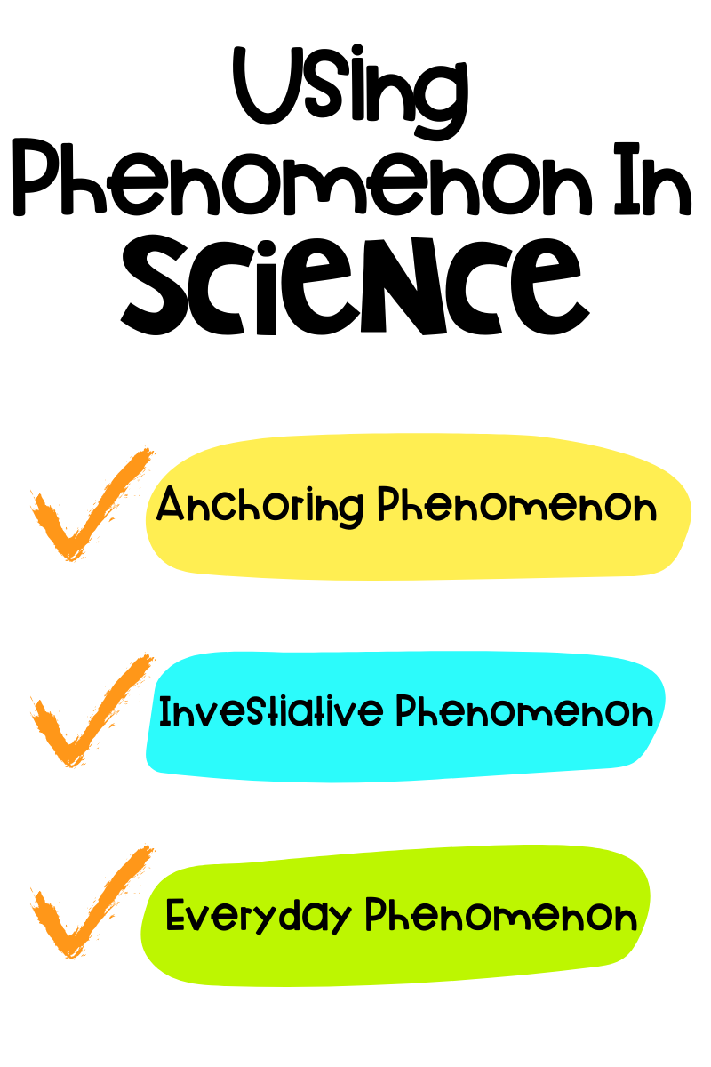 The Science School Yard