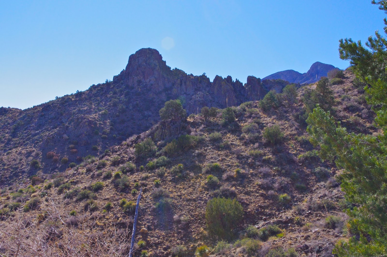 Southern New Mexico Explorer: Florida Mountains- Florida Mountains WSA