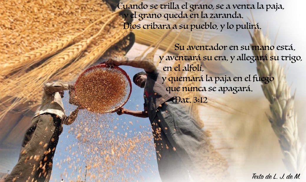 Meditaciones Matinales: EL ZARANDEO.