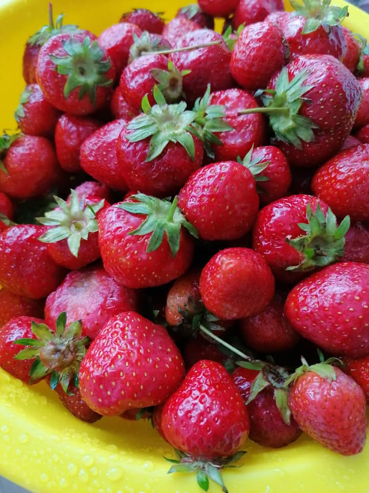 Arome si culori : Gem de capsune