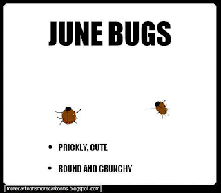 more cartoons! more cartoons!: june bugs