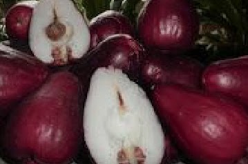 Manfaat Buah Jambu Darsono Bagi Kesehatan | Hikmah Di Balik Kisah