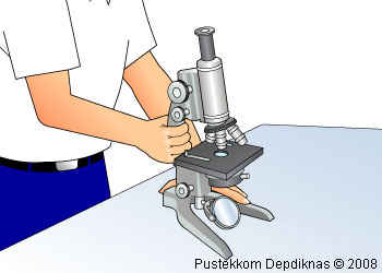 Mikroskop: Bagian & Fungsi, Jenis, Gambar, Prinsip Kerja dan Cara ...