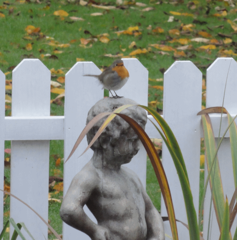 Moblogging To The Max