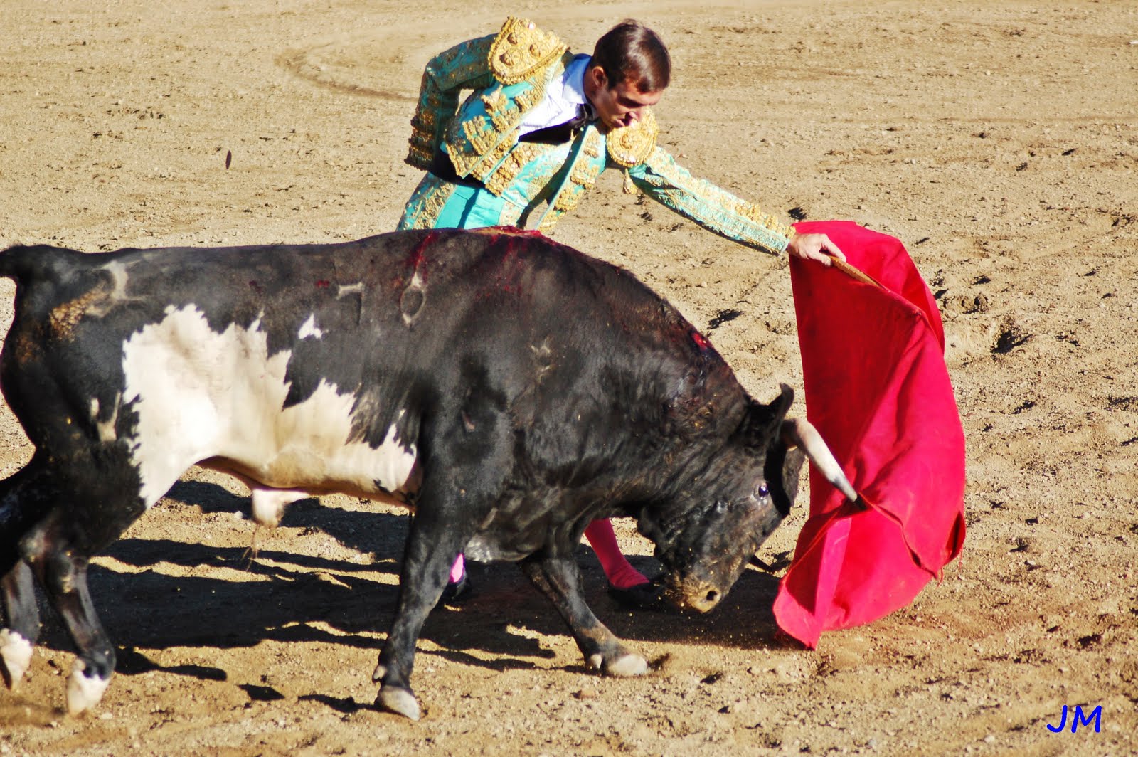 Josue Moreno: COLLADO MEDIANO NOVILLADA DE JOSE ESCOLAR