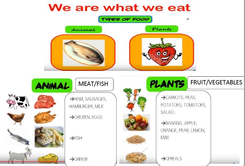 My English Kit: 21. FOOD ORIGIN