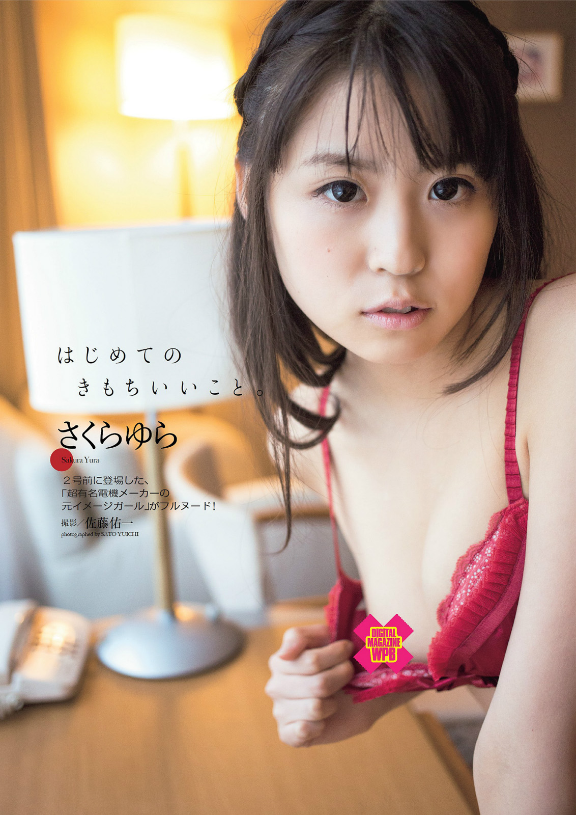 [Weekly Playboy] 2014 No.01-02 Rina Nagasaki, AKB48, Kojima Haruna, Sashihara Rino, Chisato Arai ...