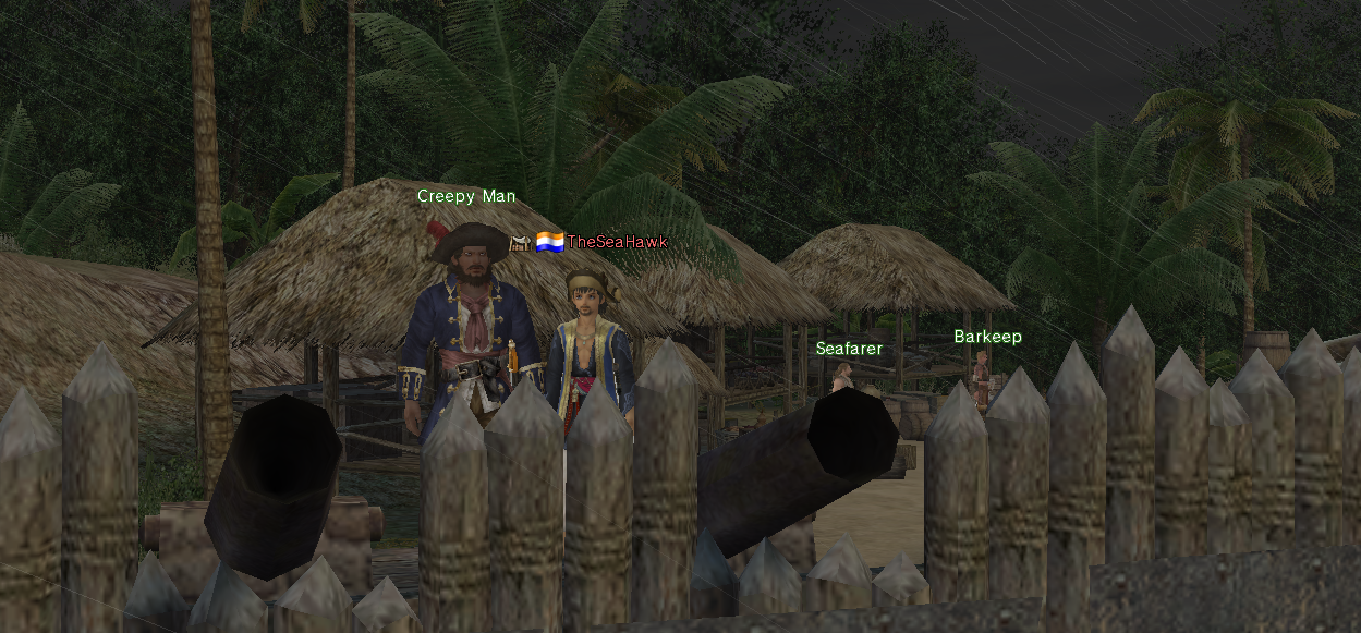 Capt. SeaHawk Daily Logbook: Henry Morgan and Edward Teach