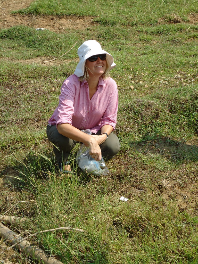 The Archaeobotanist: In Memoriam Alison Weisskopf (1960-2018)