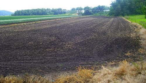 PanGeographic: Chernozem, the other black gold.